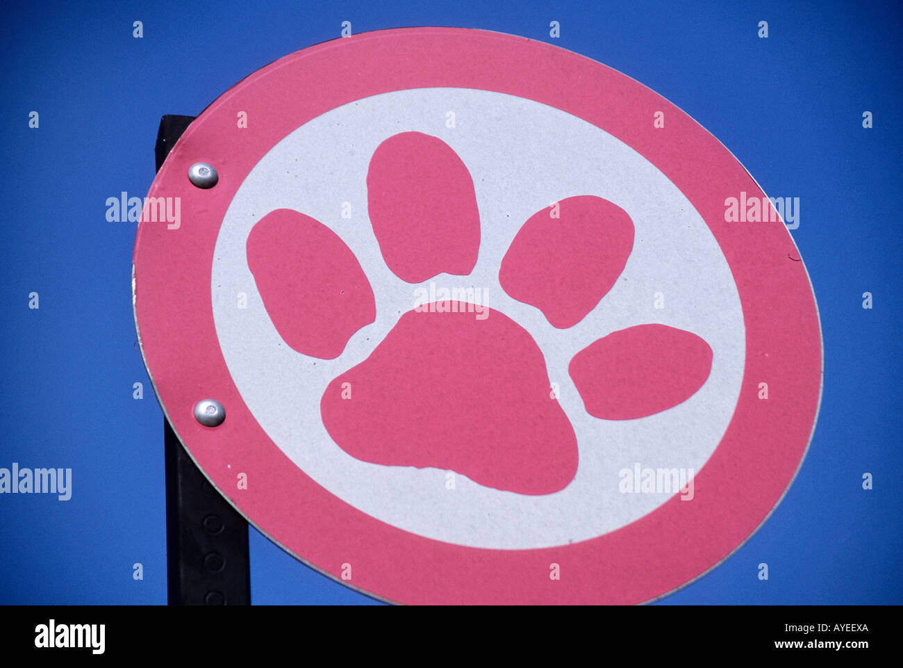 Lynx pink and white bus stop sign Stock Photo - Alamy