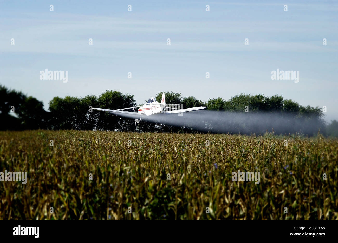 Cropduster hi-res stock photography and images - Alamy