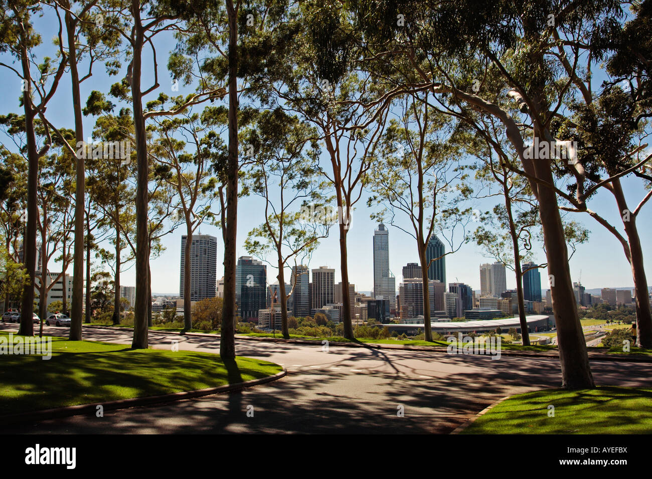View of Perth city from Kings Park Stock Photo - Alamy