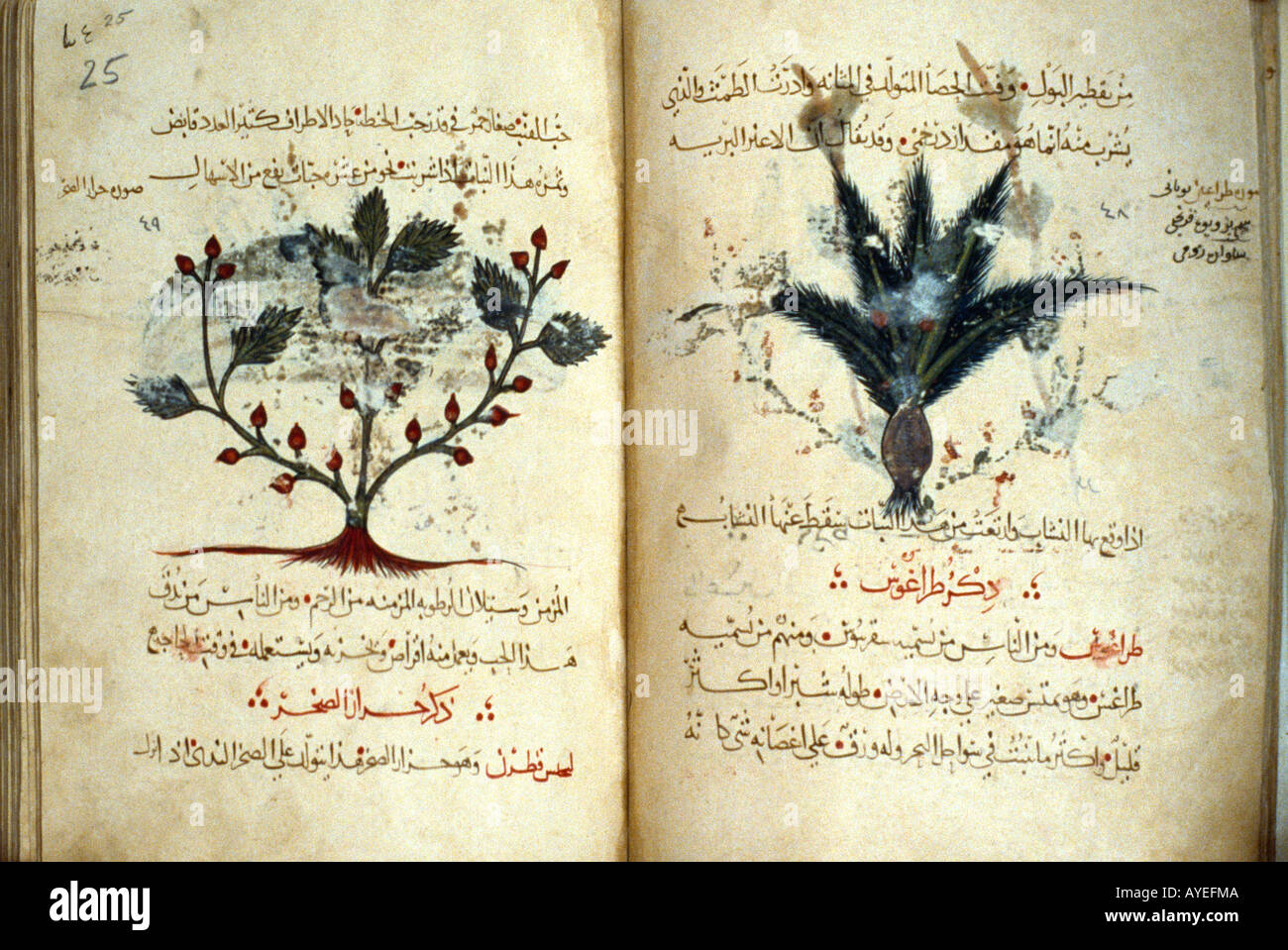 Islamic manuscript hi-res stock photography and images - Alamy