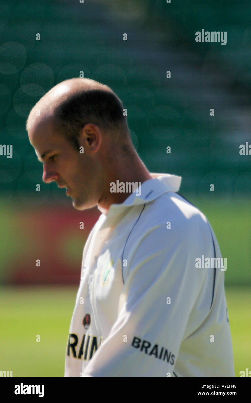 GLAMORGAN CRICKETER DAVID HARRISON Stock Photo - Alamy