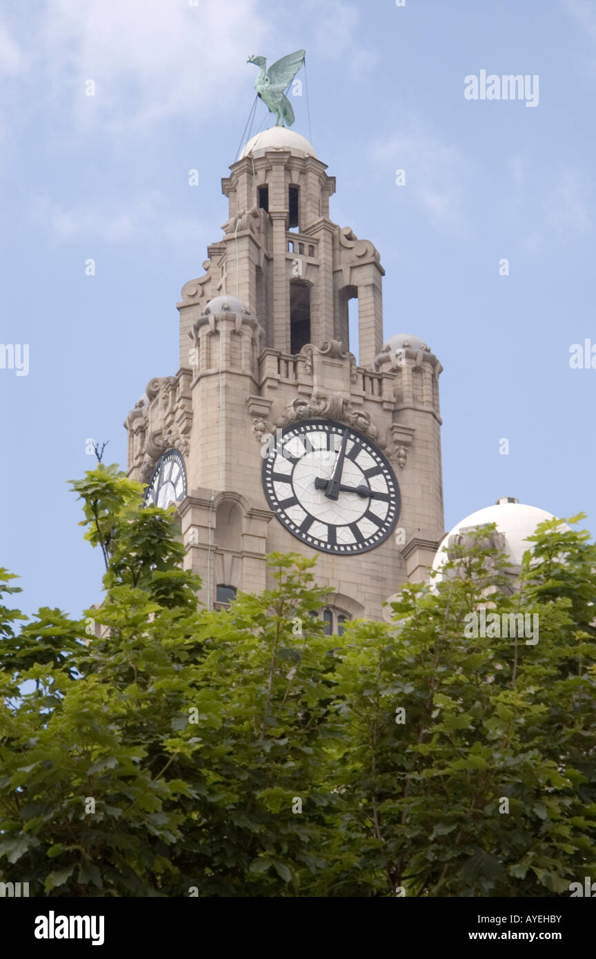 Dali clock hi-res stock photography and images - Alamy