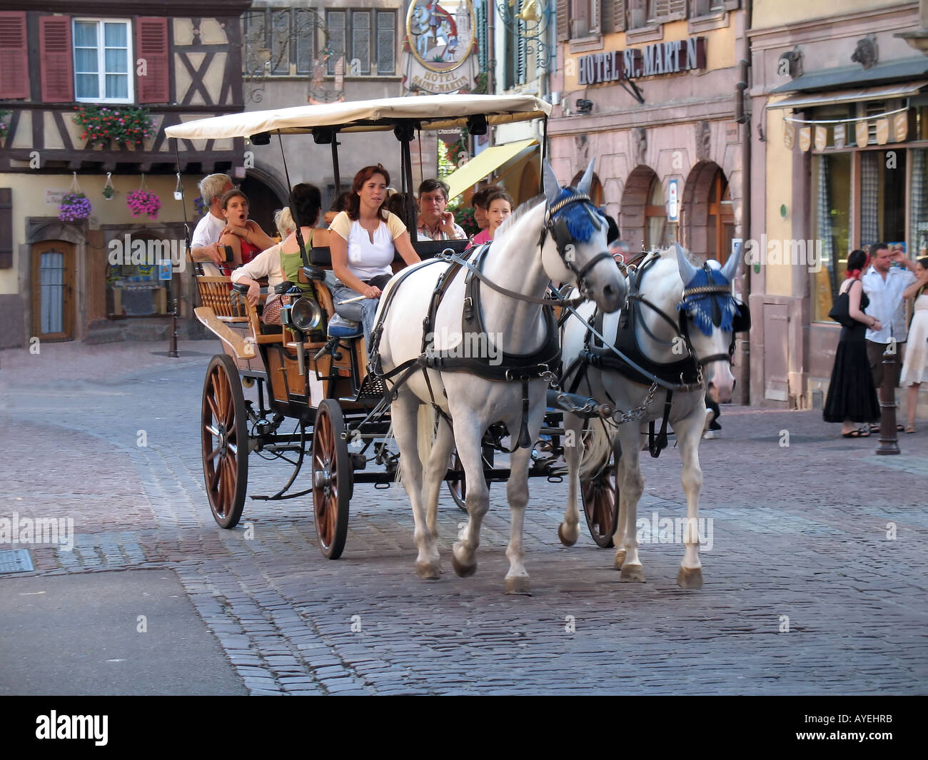 Tourists riding a horse drawn carriage and pair of white horses hi-res ...