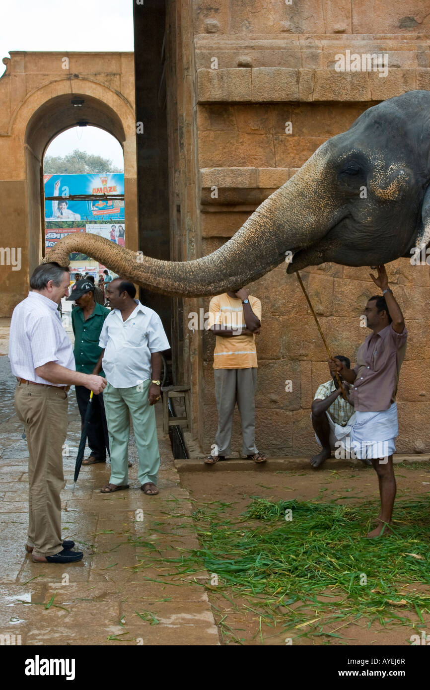 Elephant blessing temple india hi-res stock photography and images - Alamy