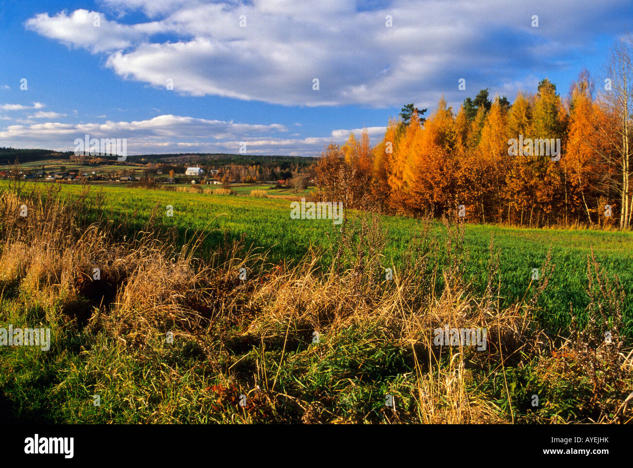 Polish Poland landscape scenery Stock Photo - Alamy