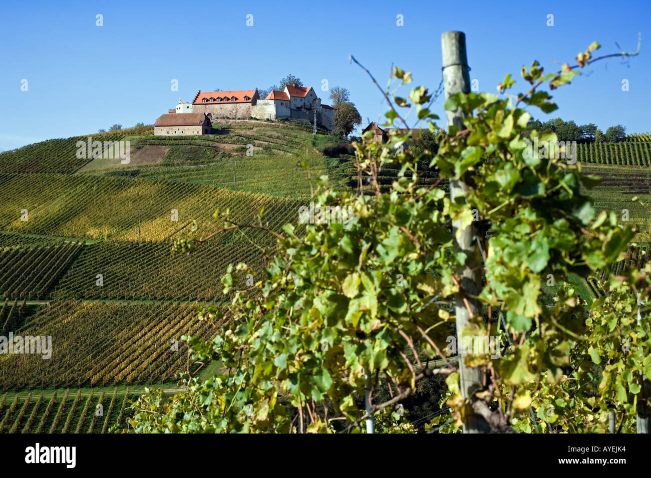 Staufenburg germany hi-res stock photography and images - Alamy