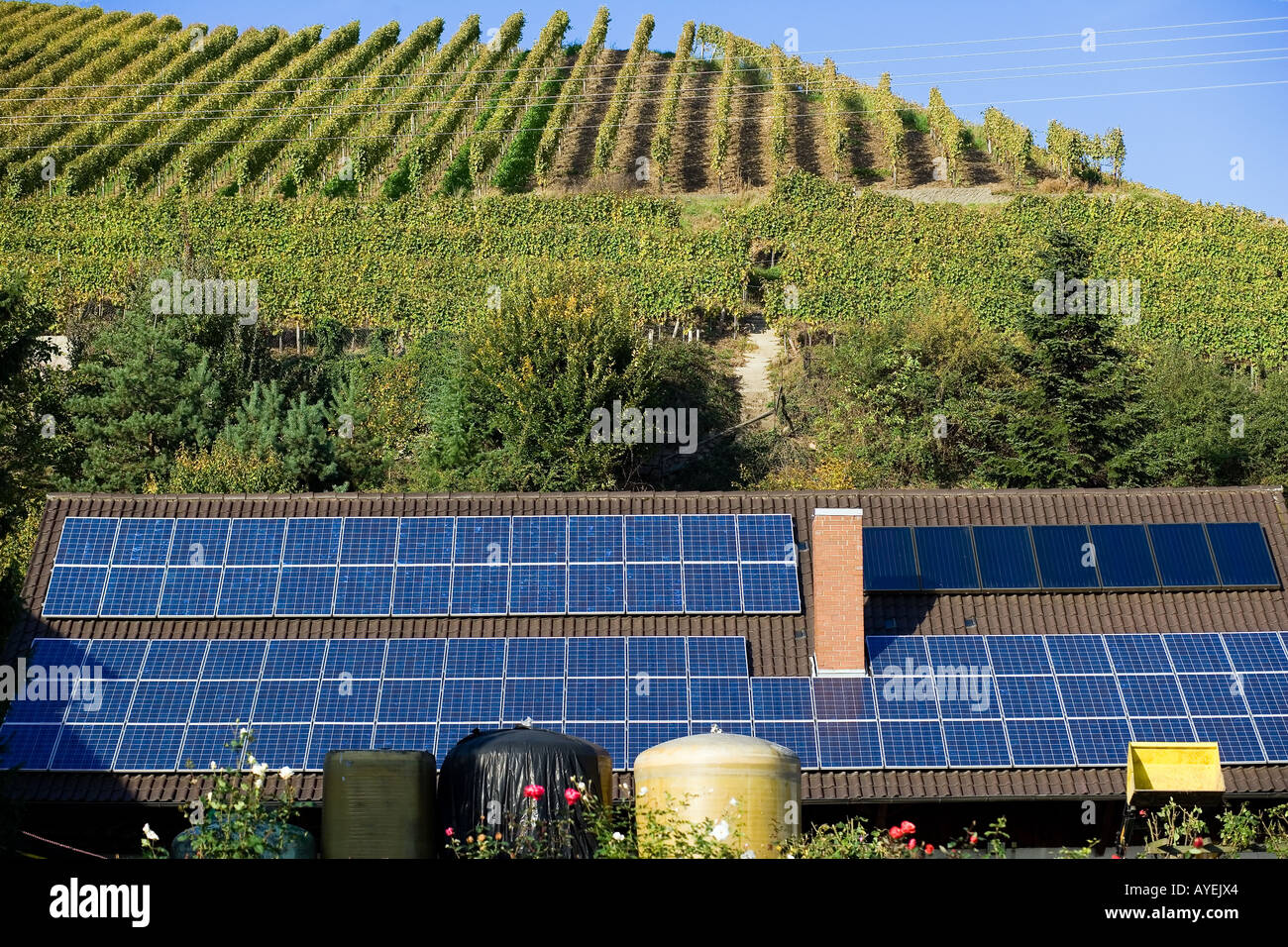 WINERY BUILDING WITH SOLAR PANEL ROOFING AND VINEYARD DURBACH BLACK ...