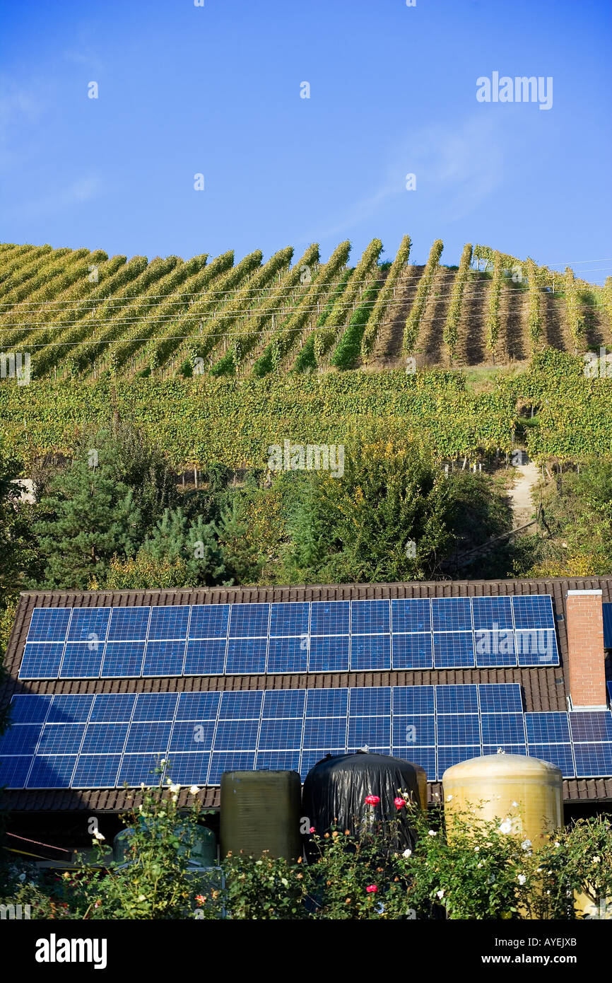Renewable vineyard panel farming hi-res stock photography and images ...