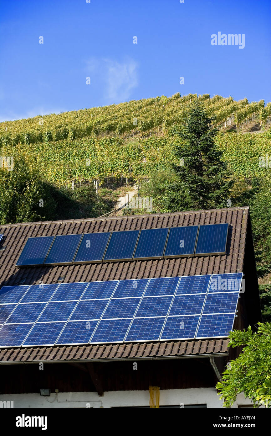 Renewable vineyard panel farming hi-res stock photography and images ...