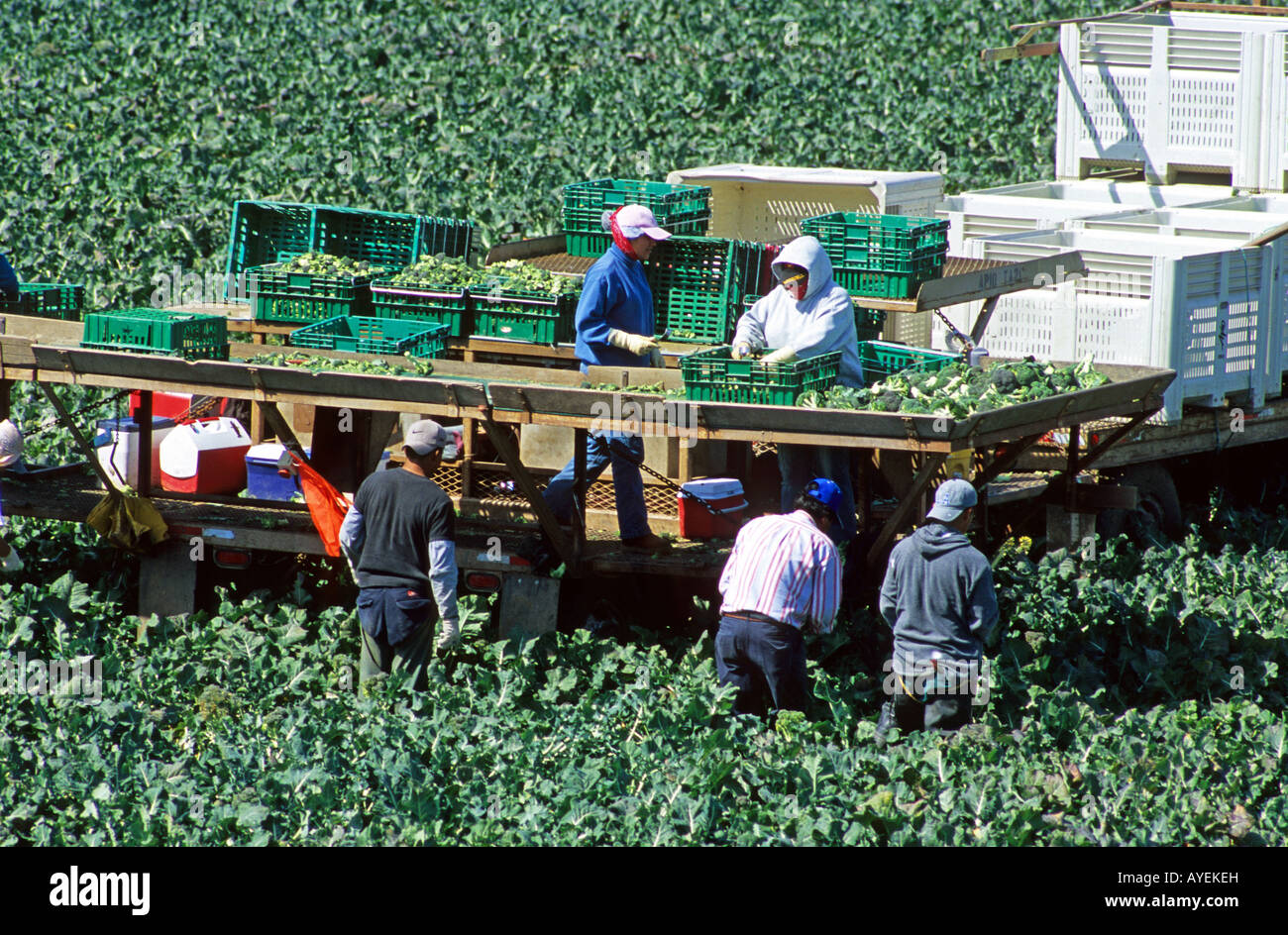 Santa maria california hi-res stock photography and images - Alamy