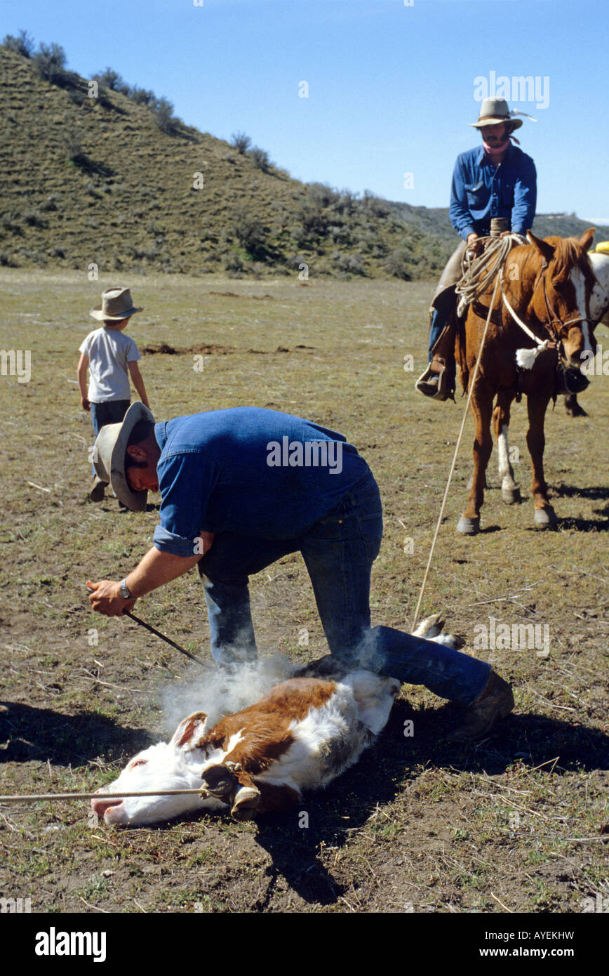 Branding rancher hi-res stock photography and images - Alamy