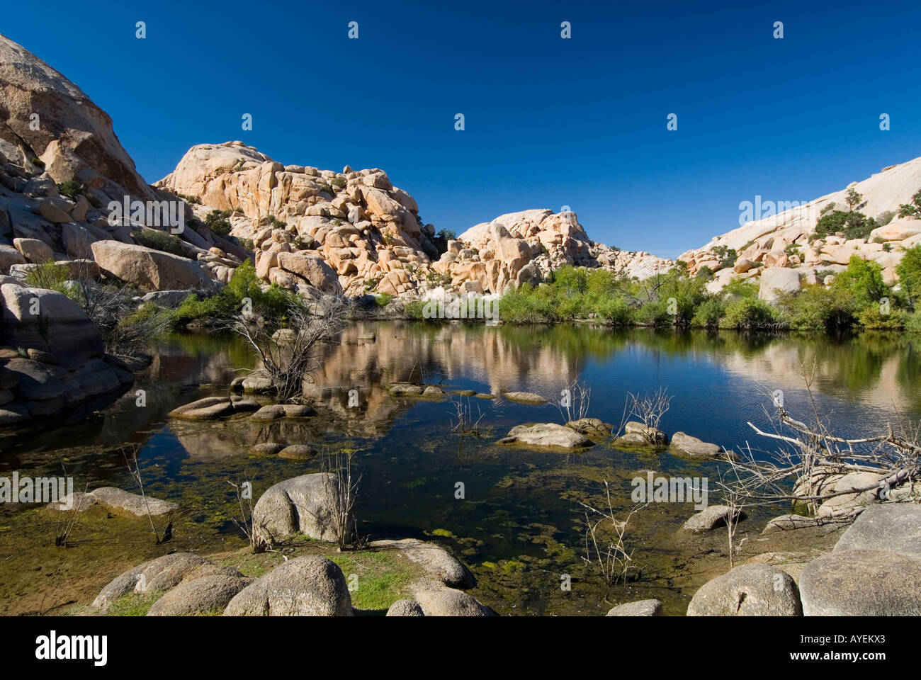 Barker pond hi-res stock photography and images - Alamy
