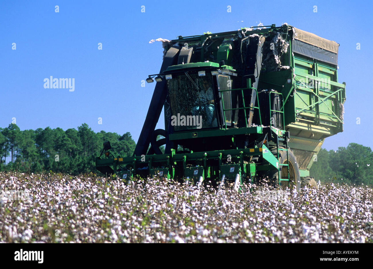 Georgia farm farming agriculture hi-res stock photography and images ...