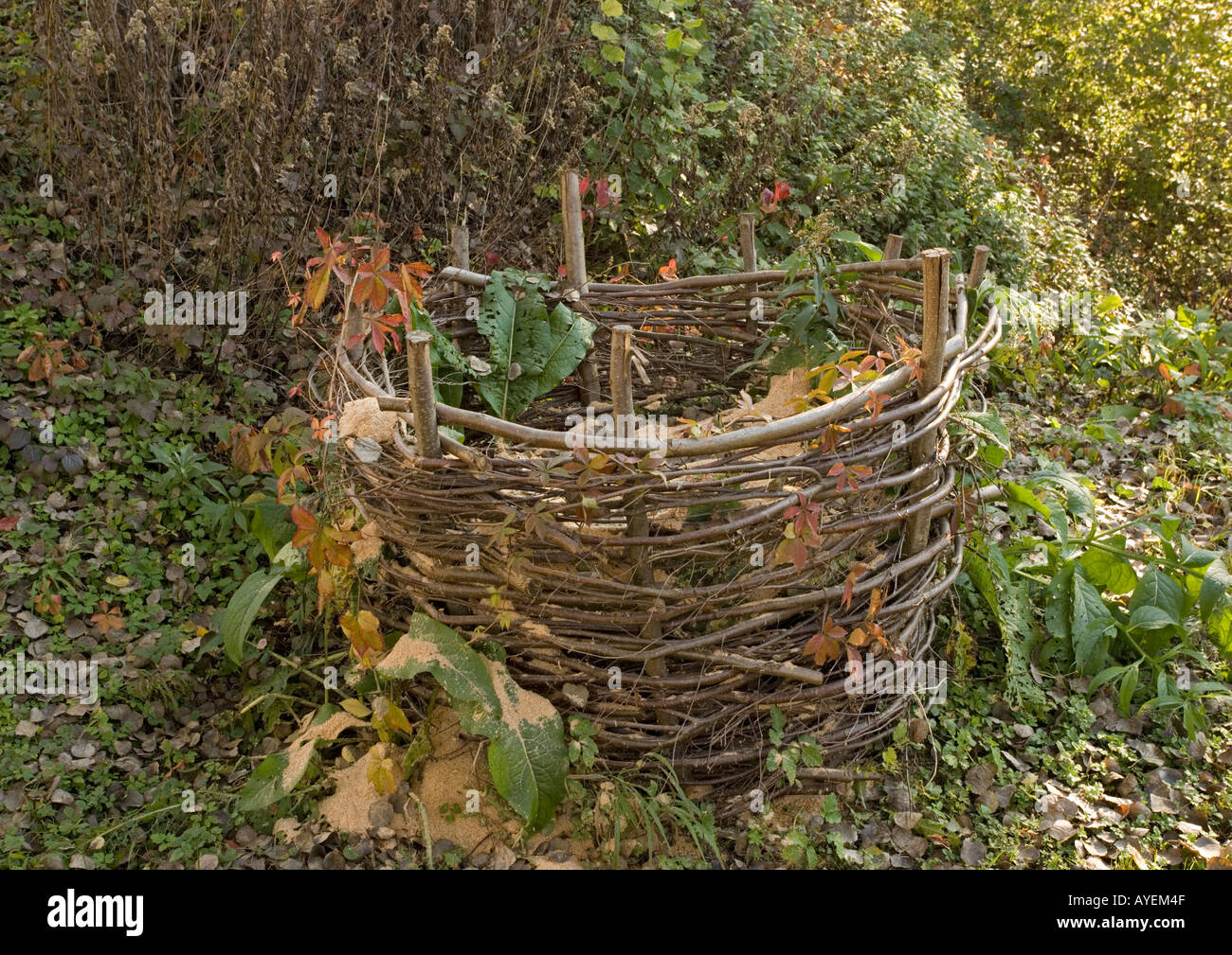 Compost container made from coppiced hazel material Stock Photo - Alamy