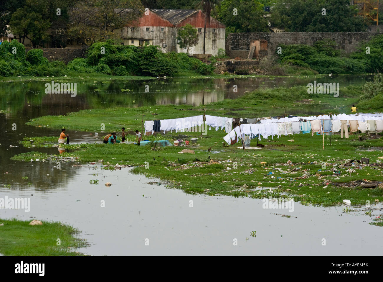 Indian woman washing clothes by hand hi-res stock photography and images - Alamy