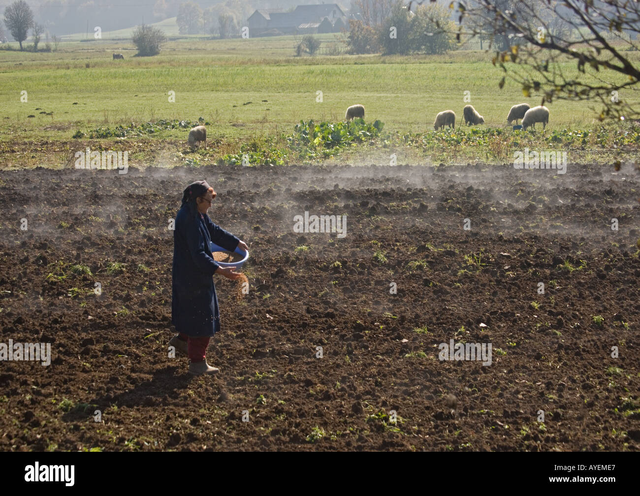 Broadcasting seed hi-res stock photography and images - Alamy