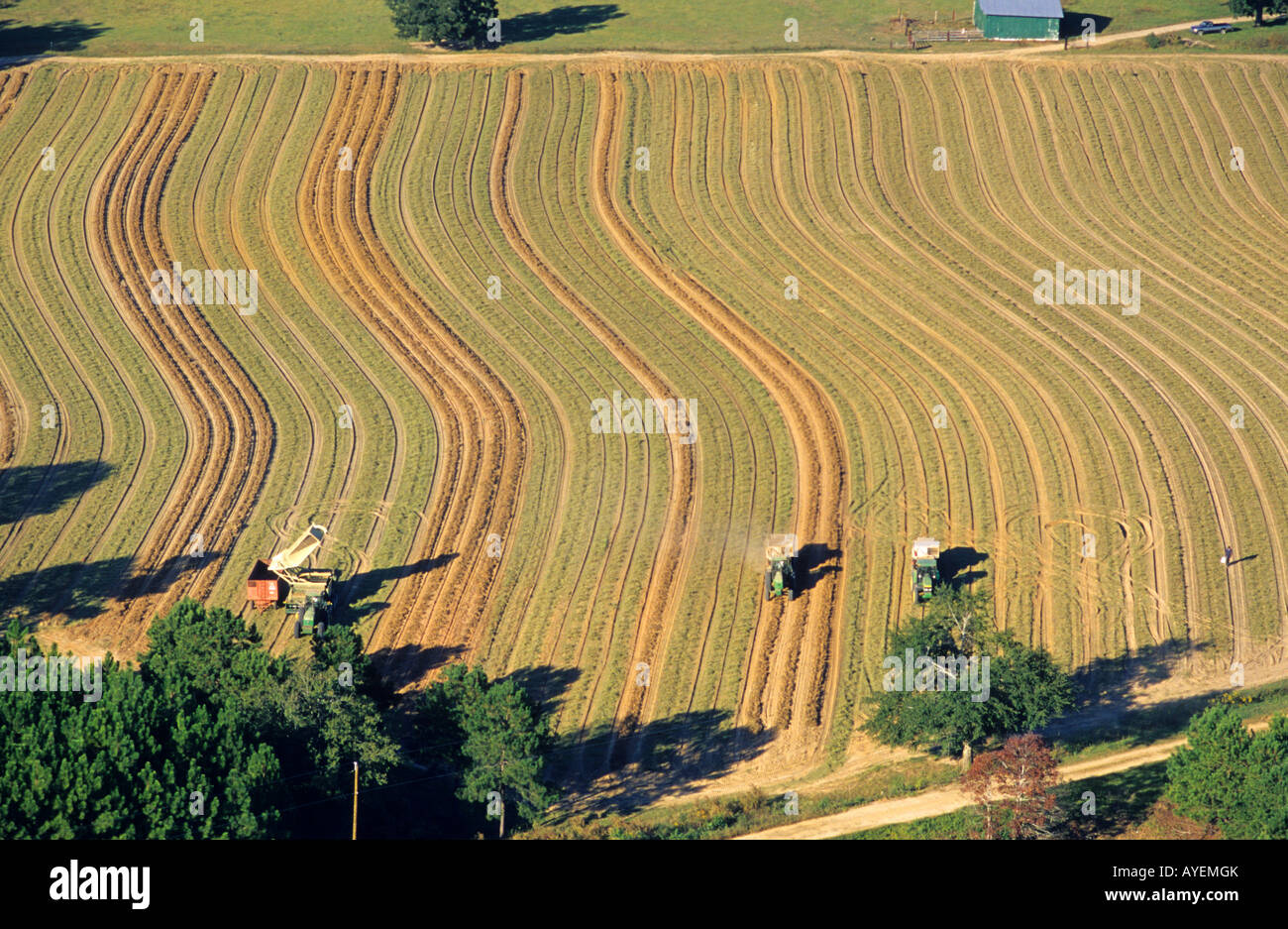 Georgia peanut farm hi-res stock photography and images - Alamy
