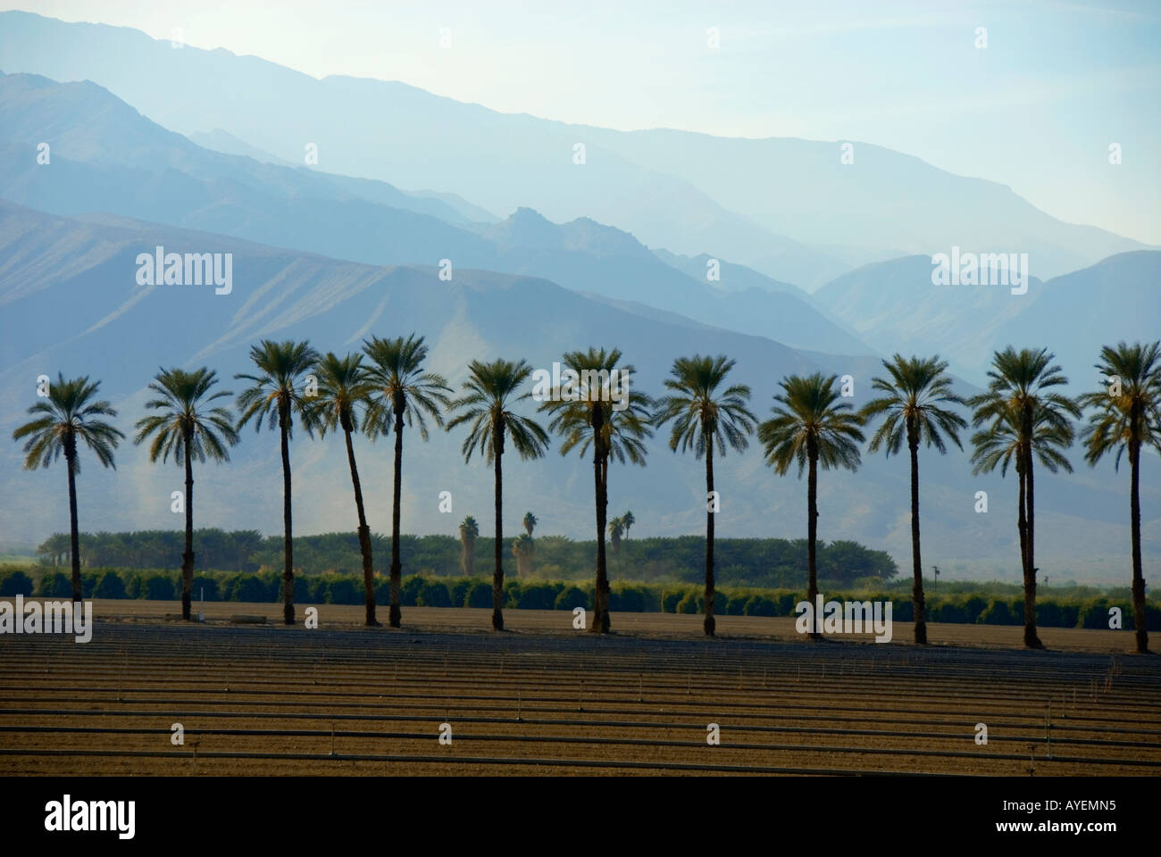 Farm Coachella Valley California Stock Photo - Alamy