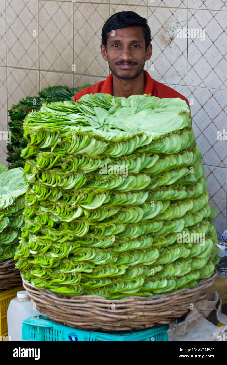 Man Selling Betel Leaves in a Vegetable Market in Madurai South India ...