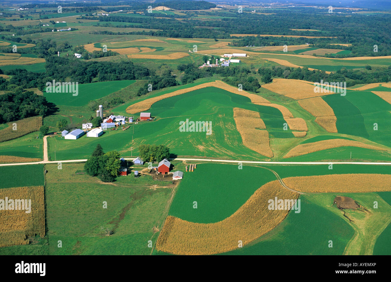 Aerial View Of Contour Farming