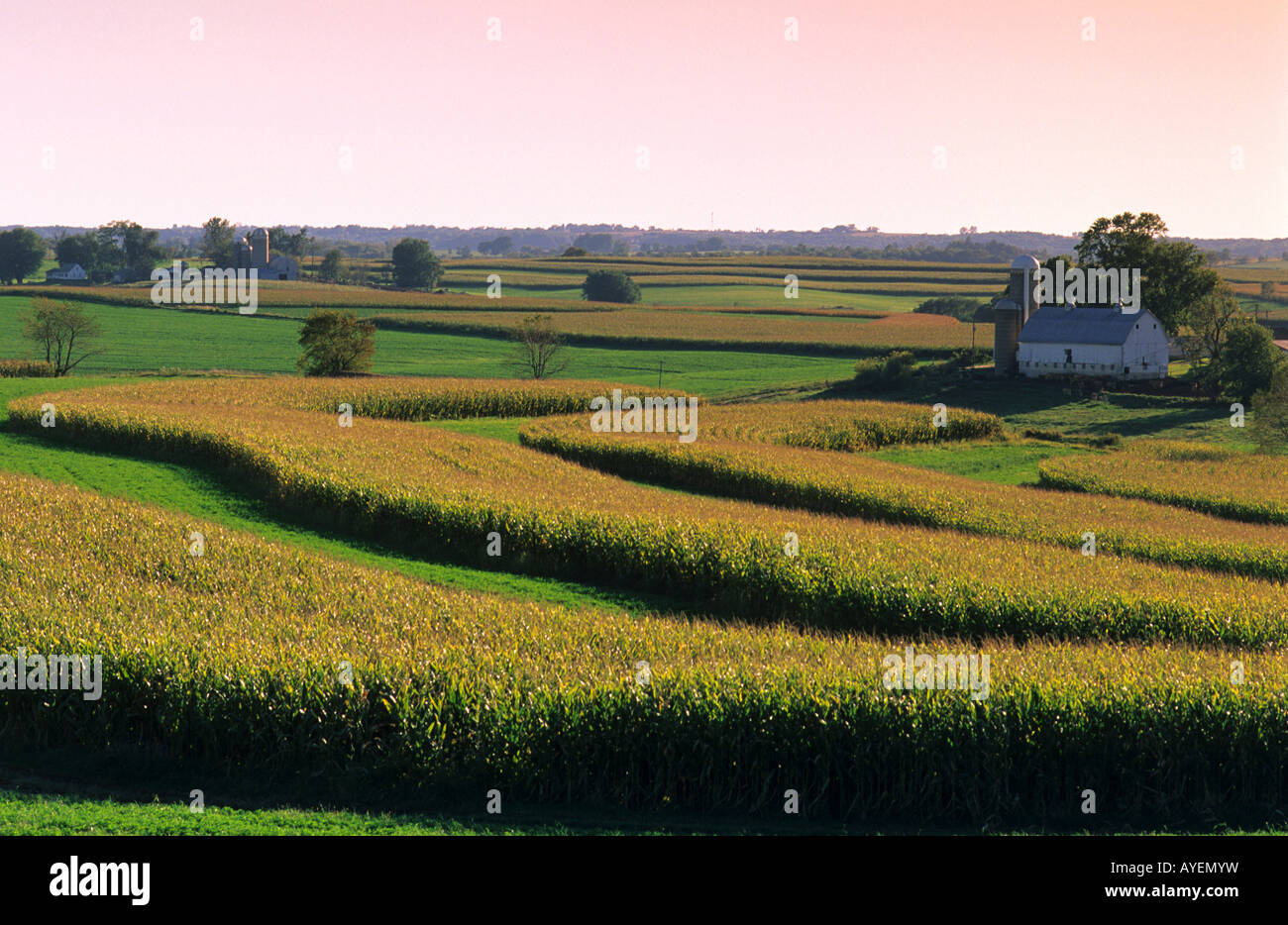 Contour Farming Planting