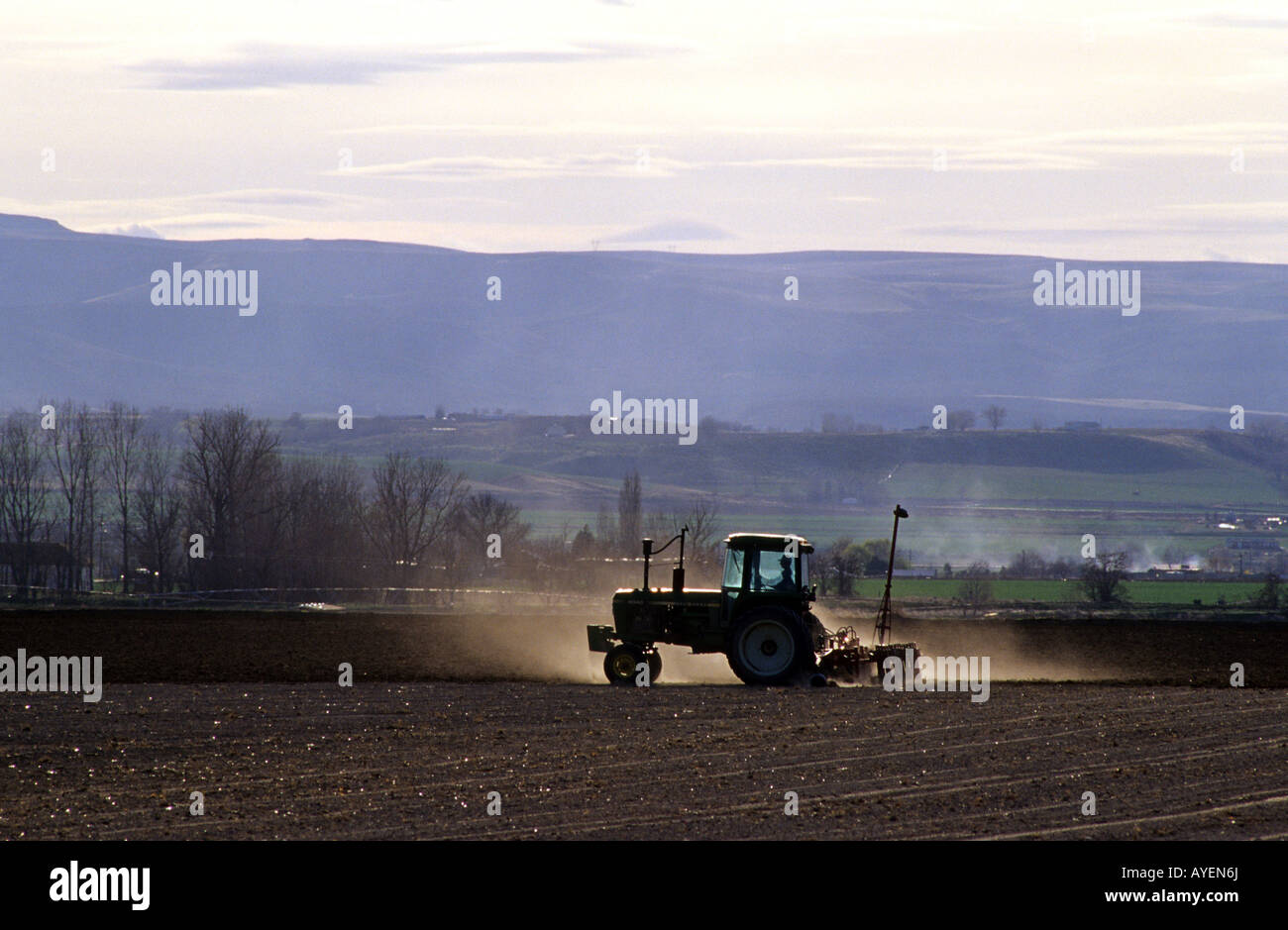 Tractor tilling soil Stock Photo - Alamy