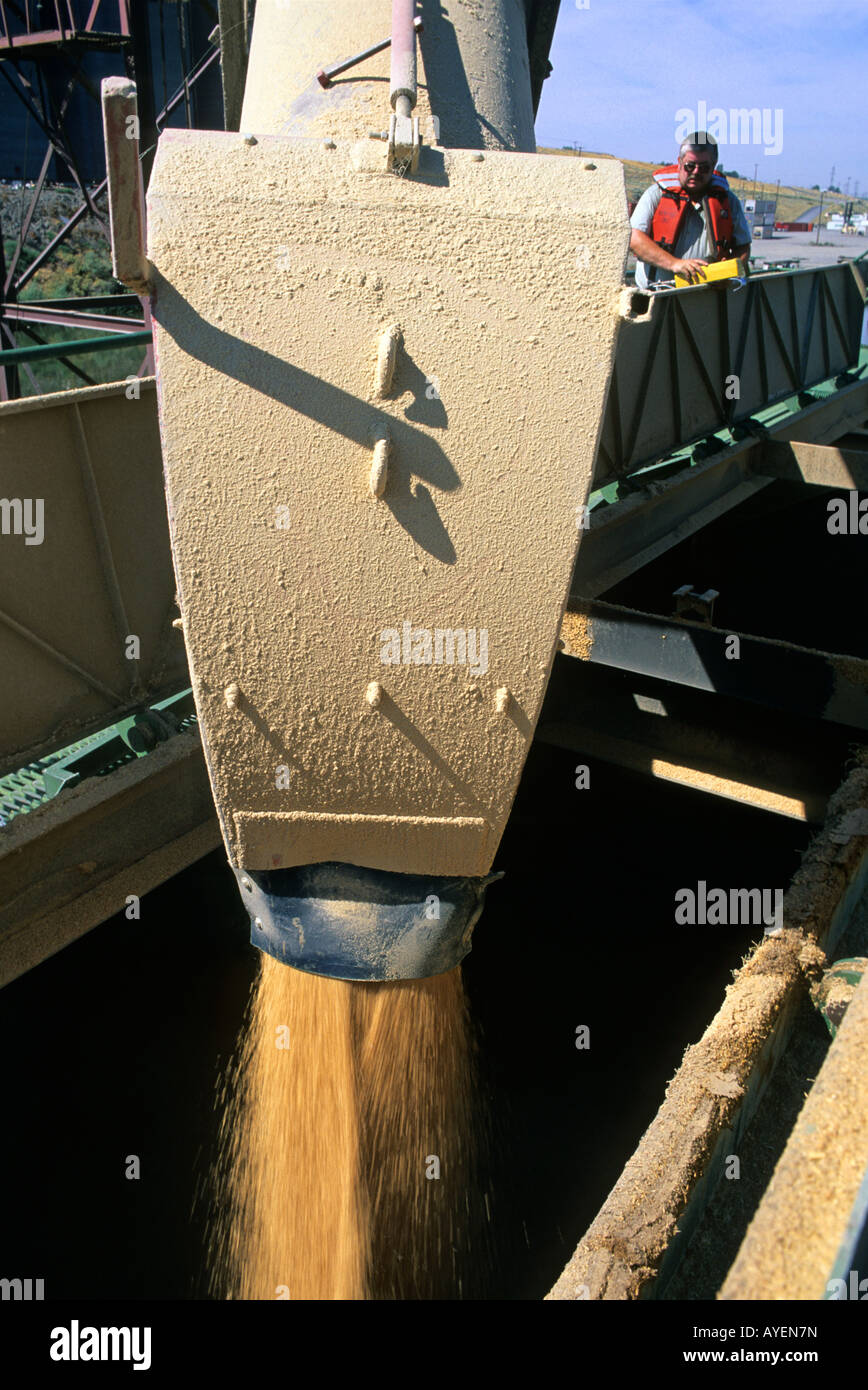 Barge being loaded hi-res stock photography and images - Alamy