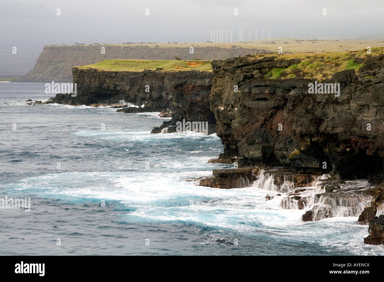 The cliffs at South Point are the Southern most point of the United ...