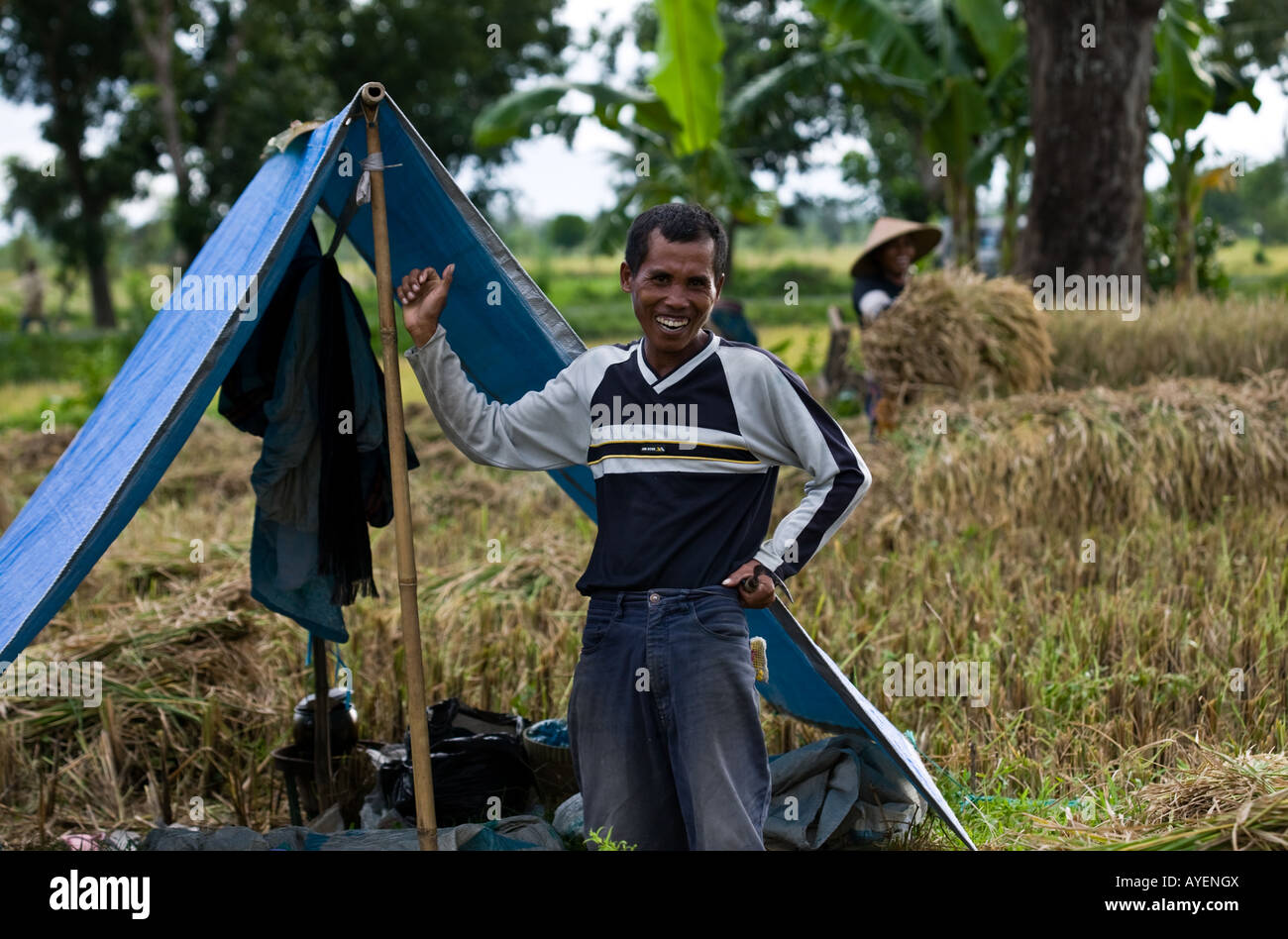Rice worker's house Stock Photo - Alamy