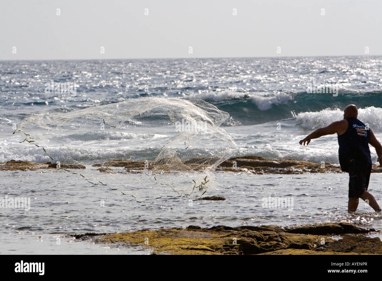 Net fishing in the Pacific Ocean off the coast of the Big Island of ...