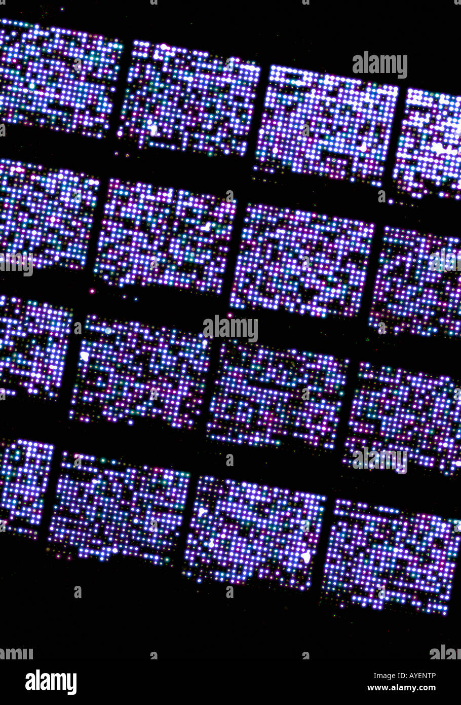 Micro Array DNA Chip, human genome structure Stock Photo - Alamy