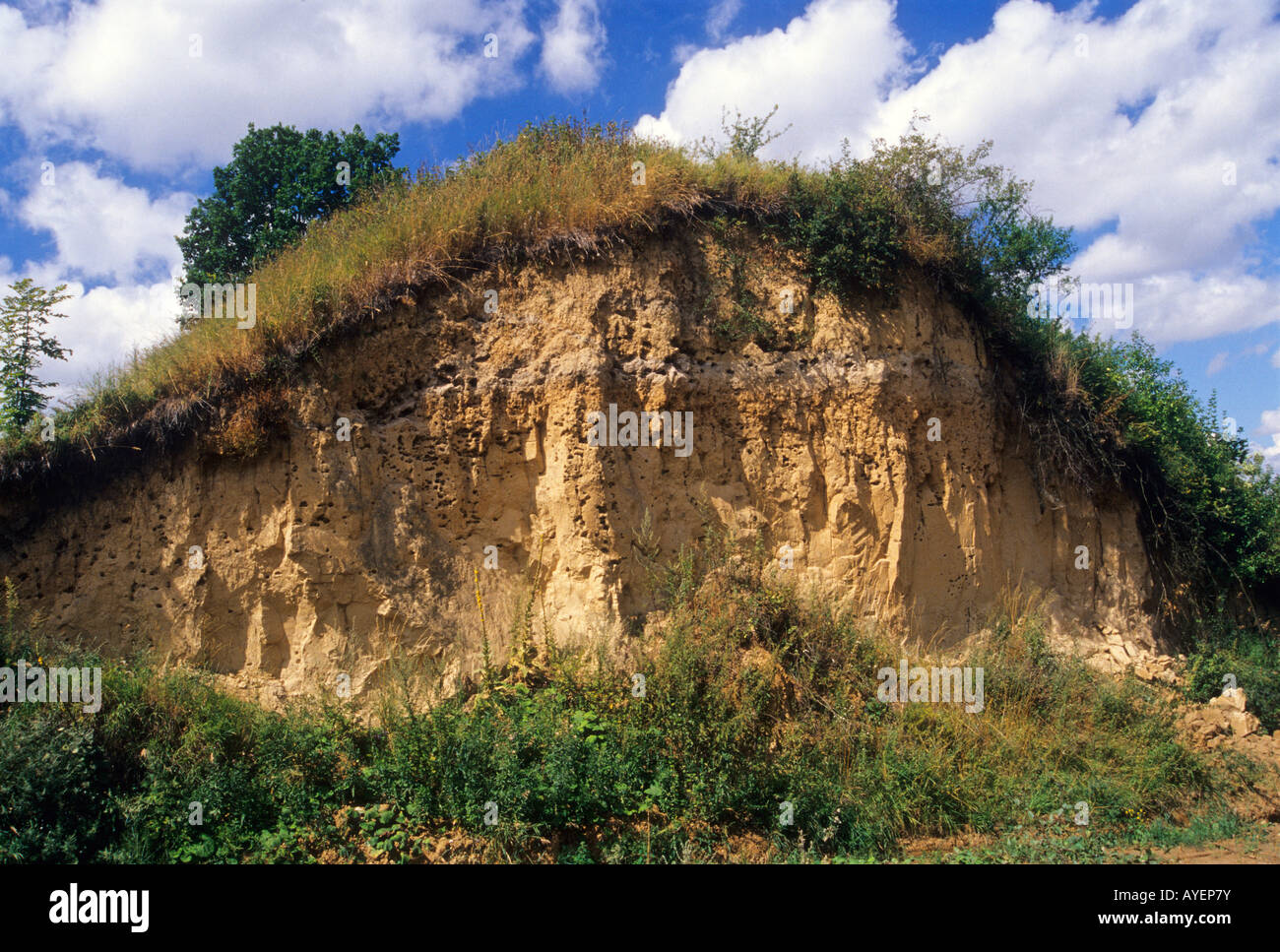 Loess - slope Stock Photo - Alamy