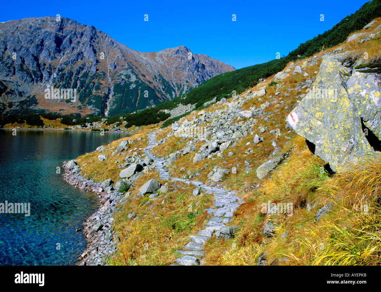 Lake in High Tatras Mt of Poland Stock Photo - Alamy