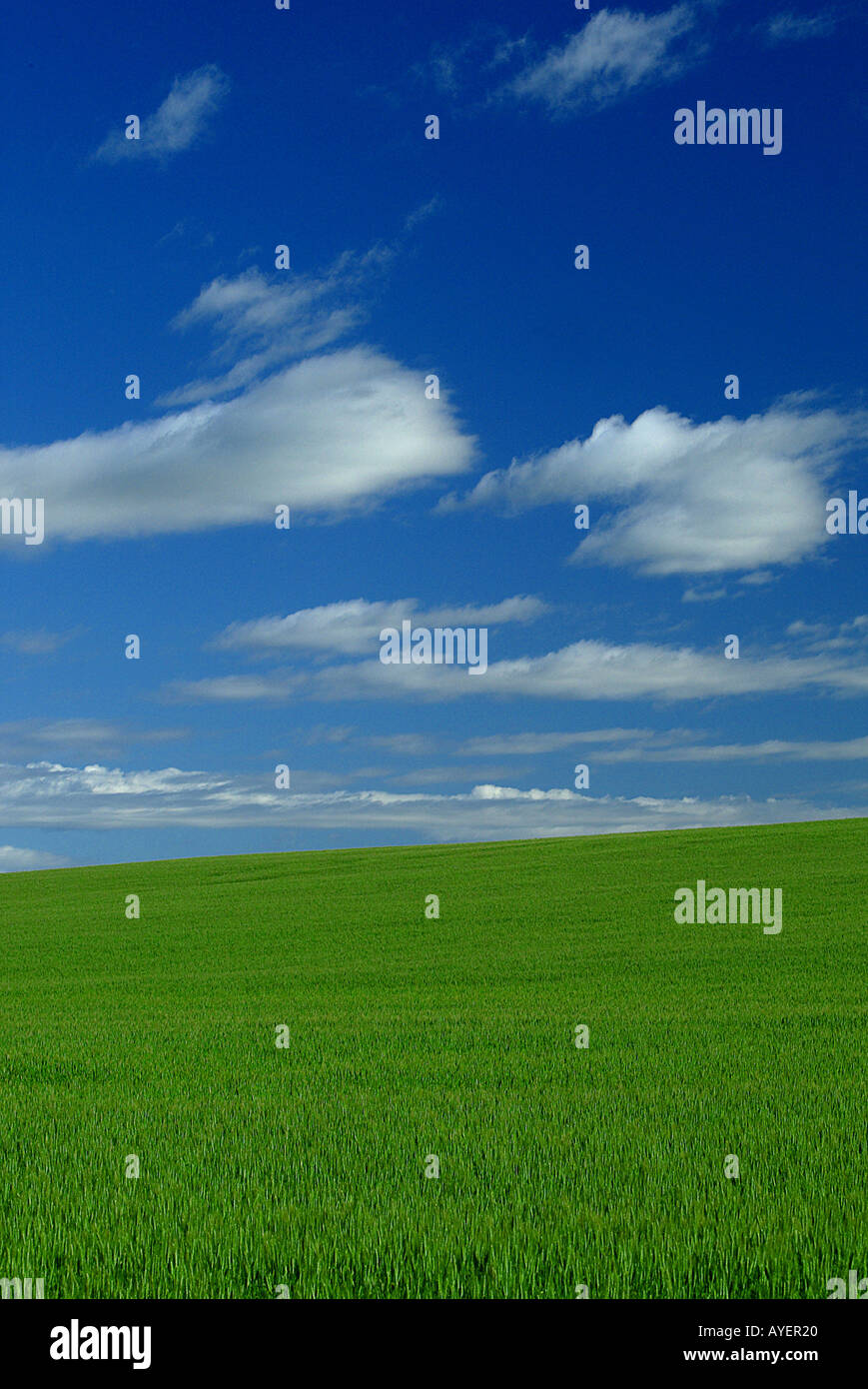 A rural setting Stock Photo - Alamy