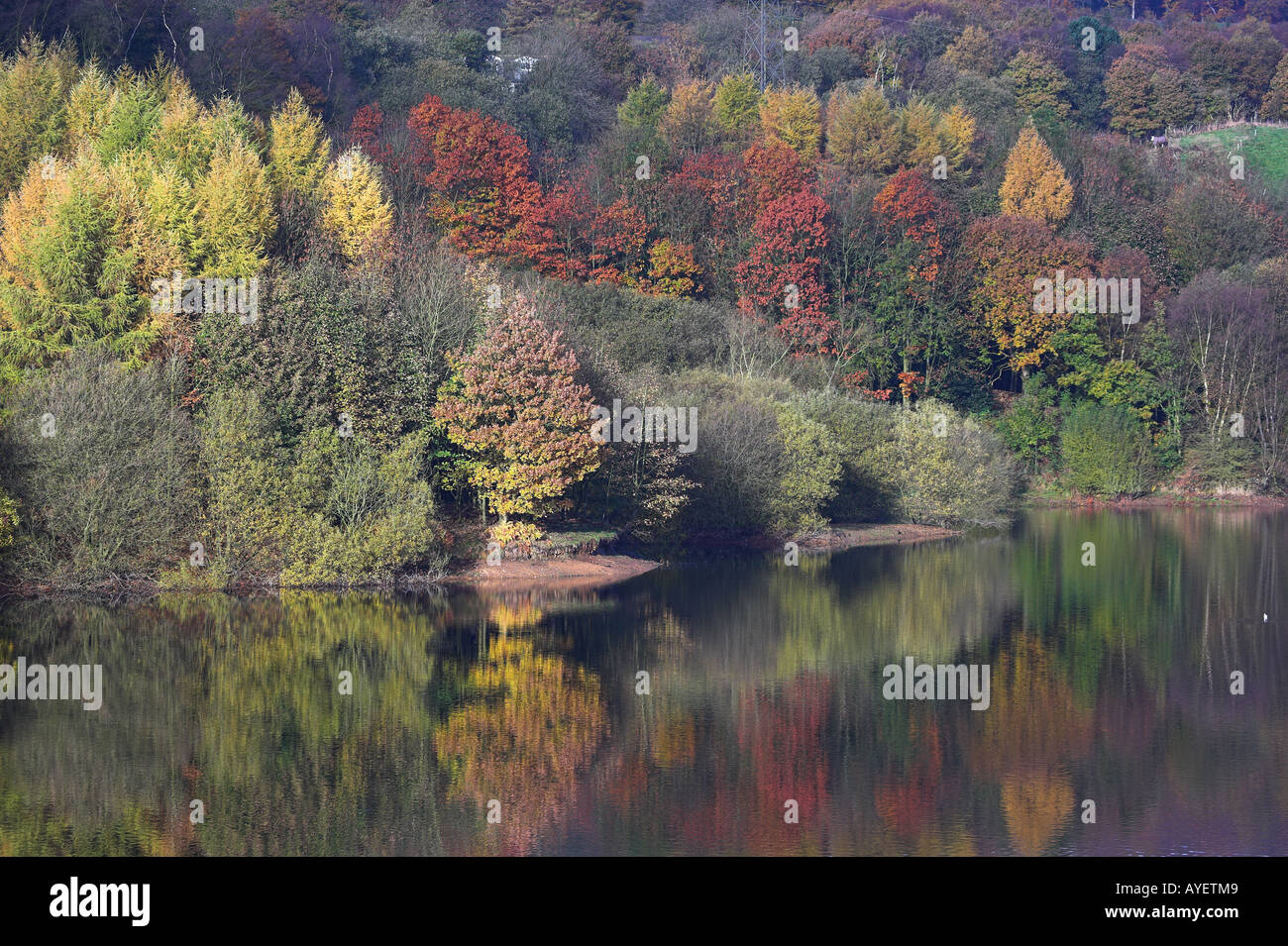 Jumbles lancashire hi-res stock photography and images - Alamy