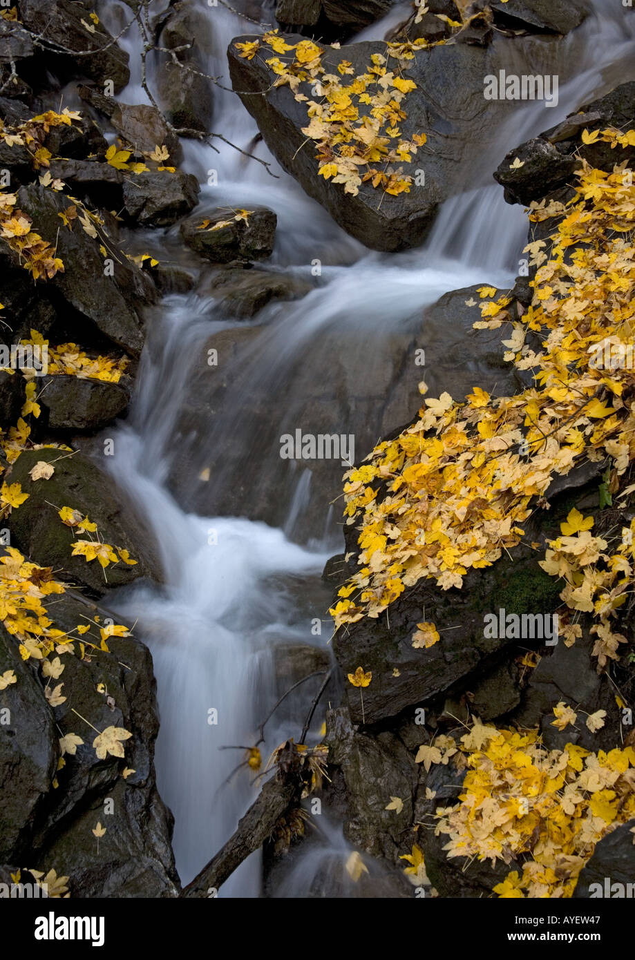 Sycamore falls hi-res stock photography and images - Alamy