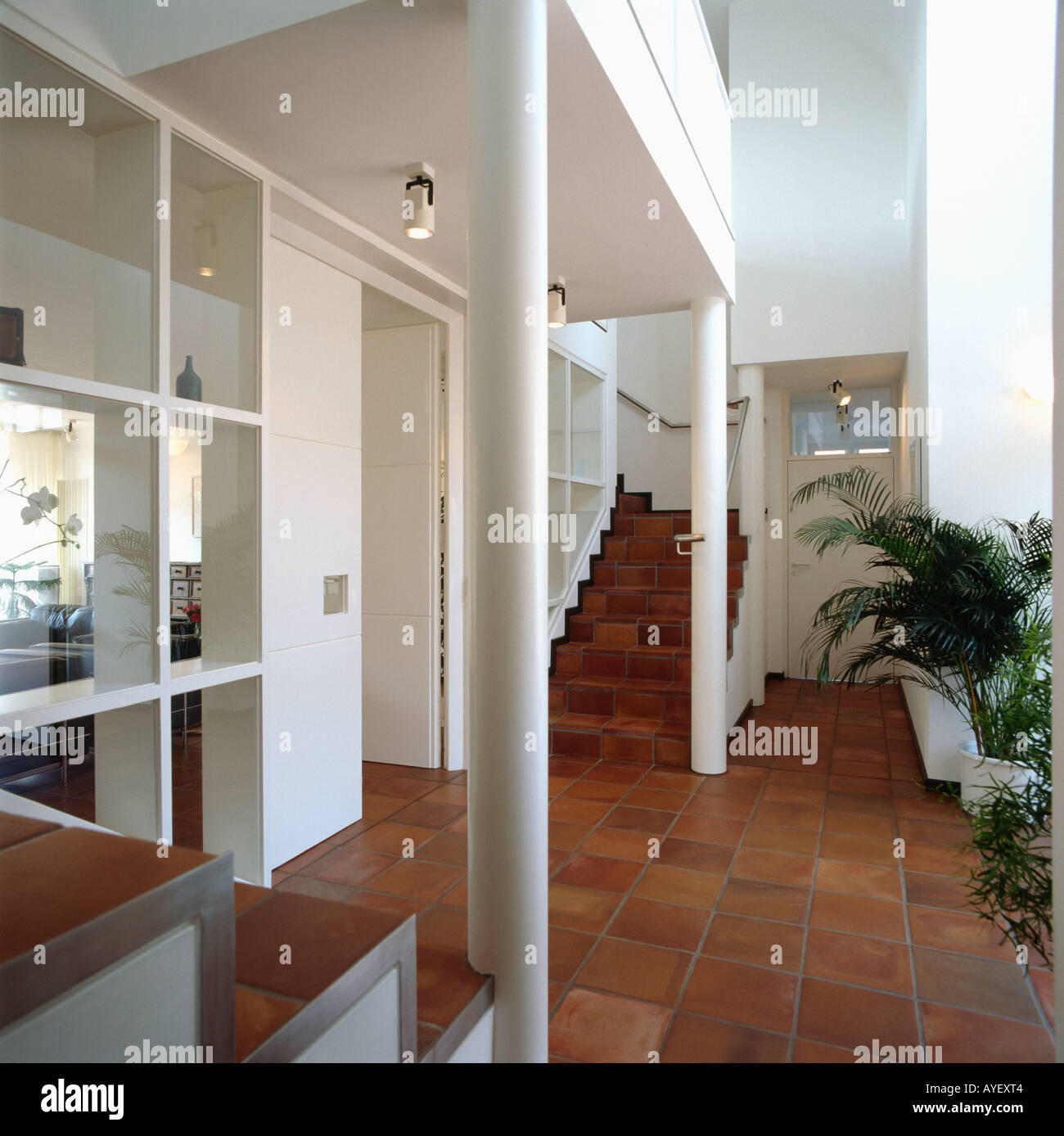 Terracotta tiled floor in modern white hall Stock Photo - Alamy