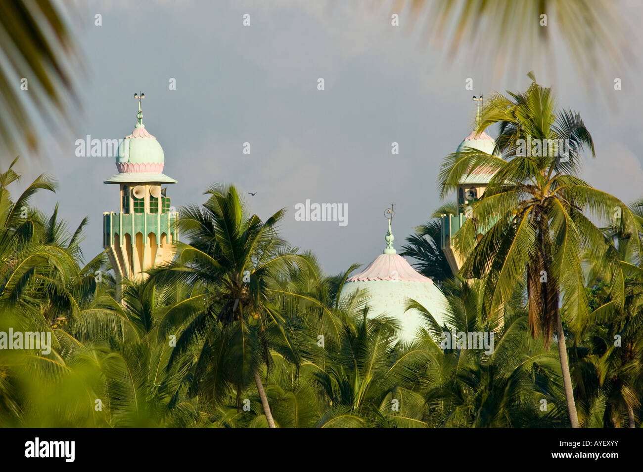 Mosque kerala jungle hi-res stock photography and images - Alamy