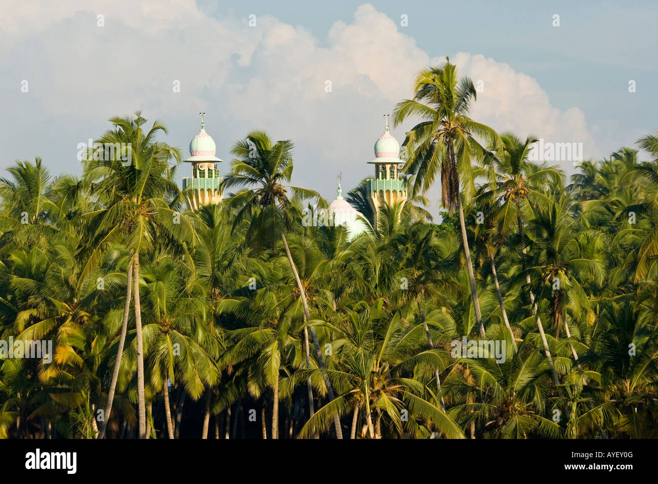 Mosque kerala jungle hi-res stock photography and images - Alamy