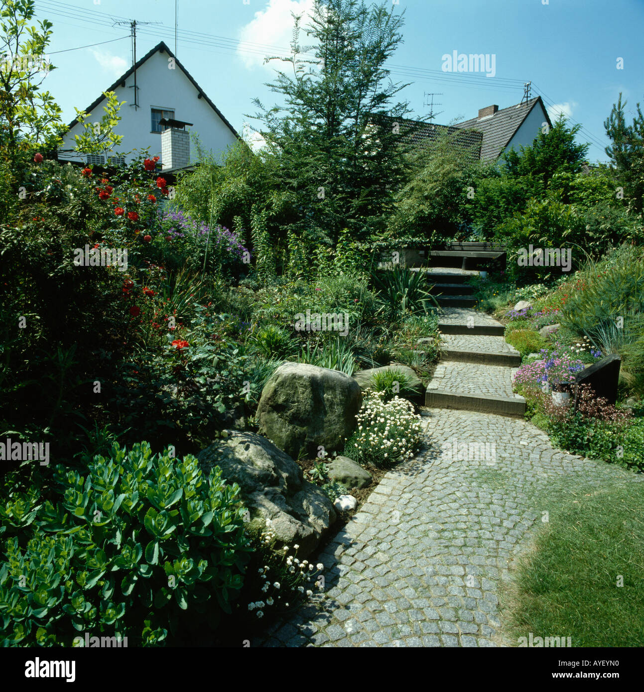 Paved path through garden borders Stock Photo - Alamy