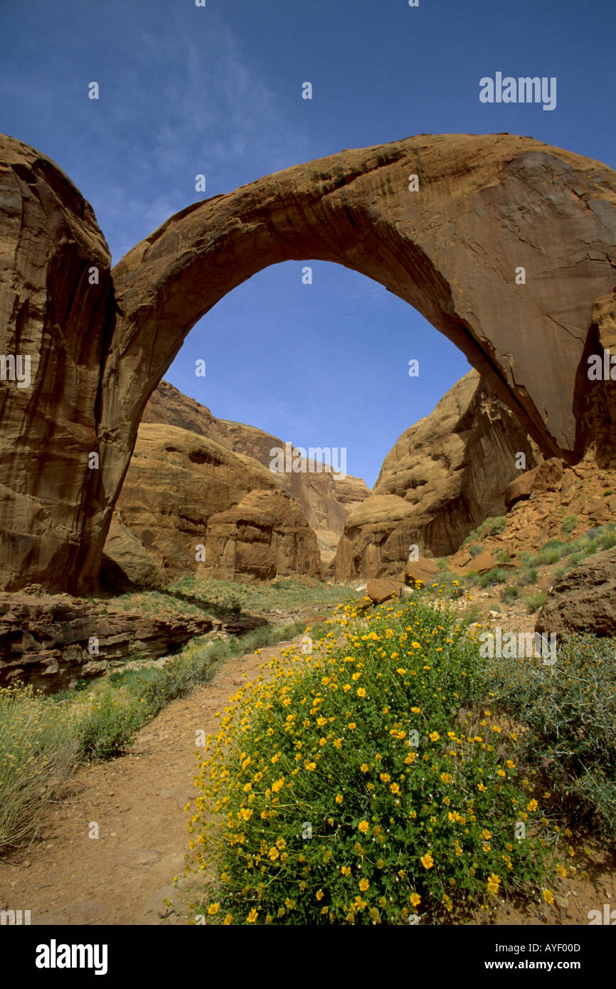 USA Utah Rainbow Bridge Stock Photo - Alamy