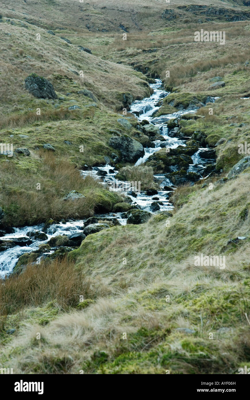 Red Tarn Beck Stock Photo - Alamy