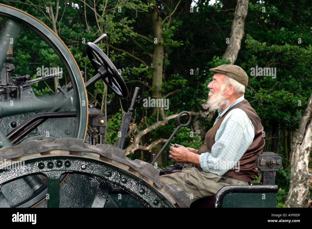 Elderly man running a traction engine Stock Photo - Alamy