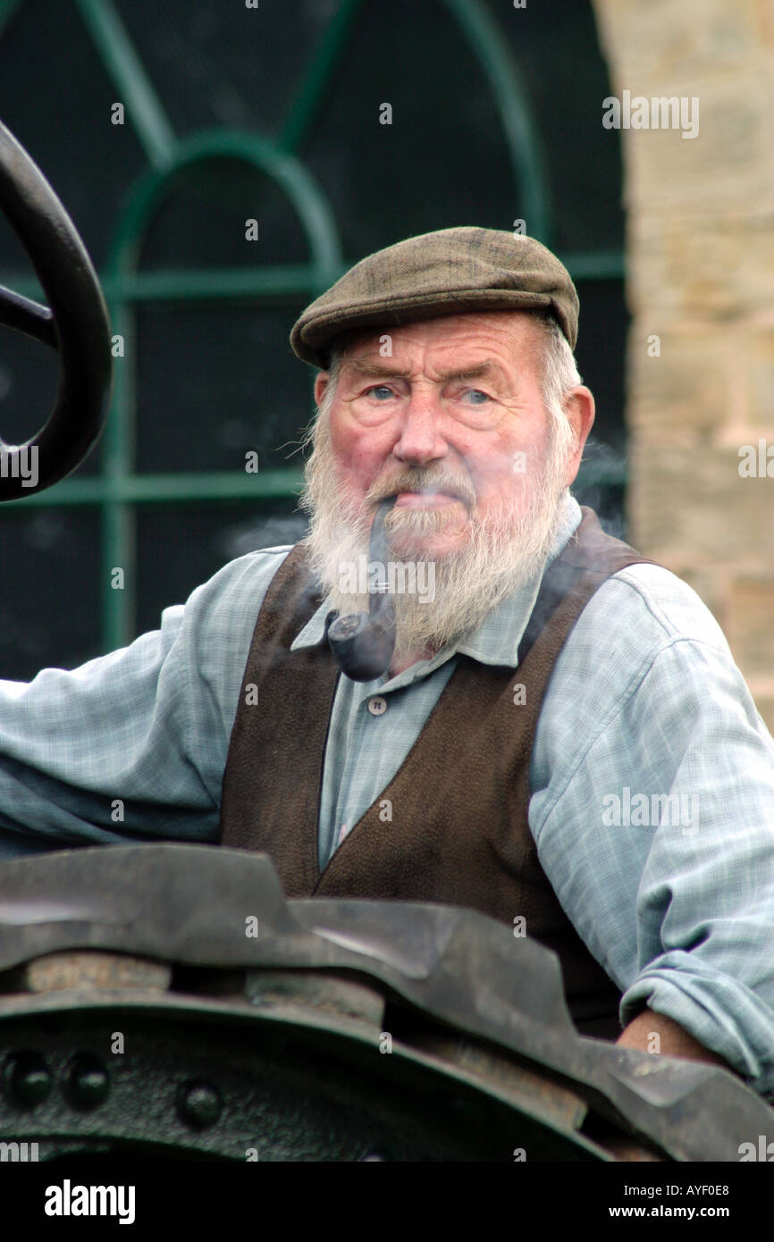 Elderly man running a traction engine Stock Photo - Alamy