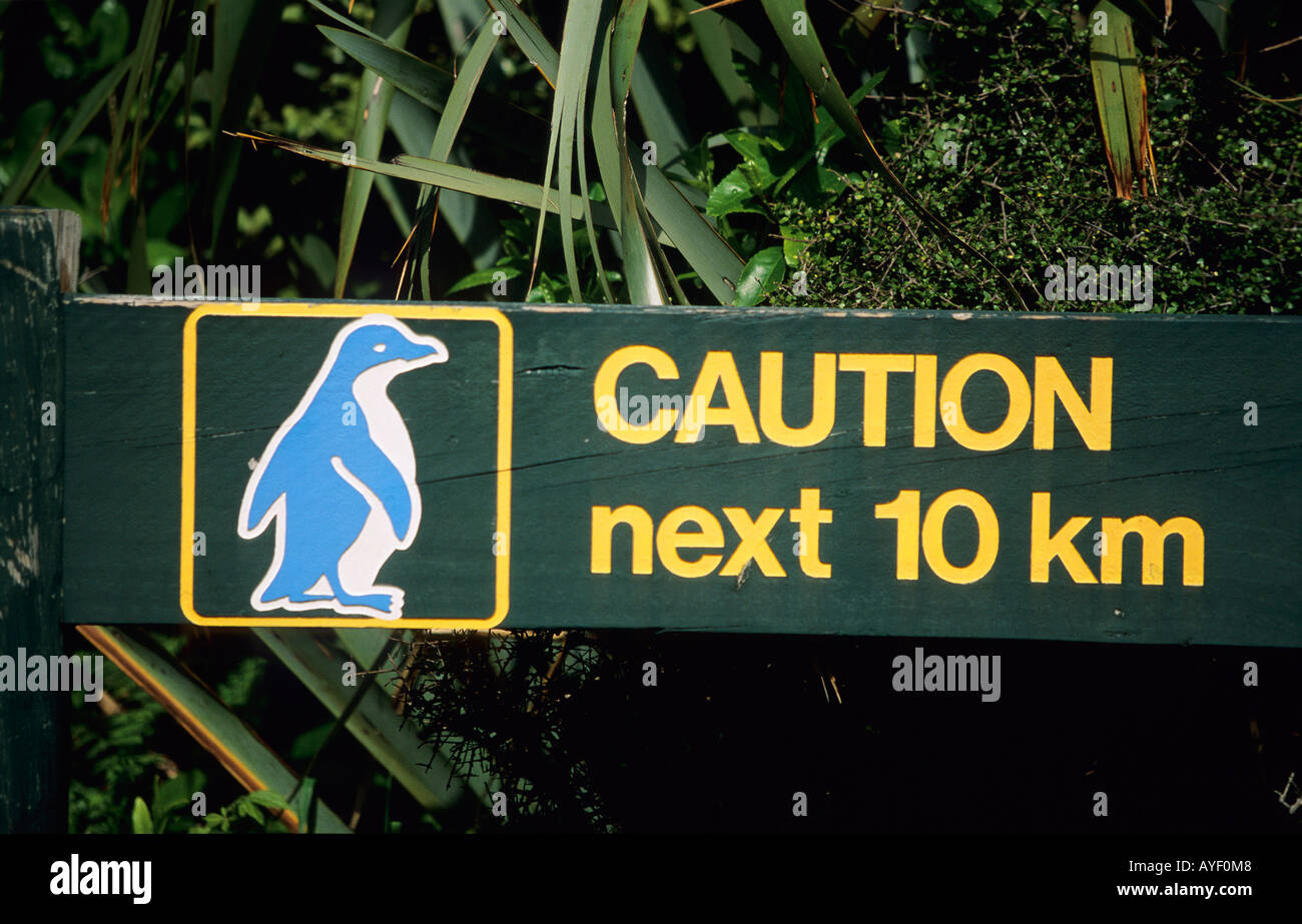 Detail of warning sign for penguins at Cape Foulwind Stock Photo - Alamy