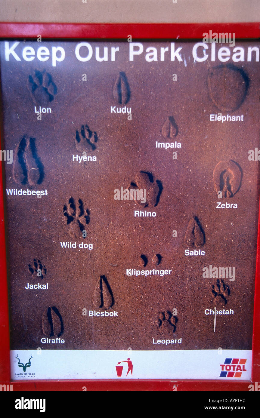 Hoof prints hi-res stock photography and images - Alamy