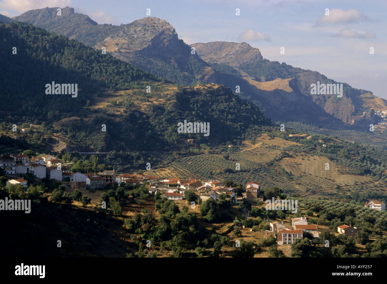 Cazorla national park hi-res stock photography and images - Alamy