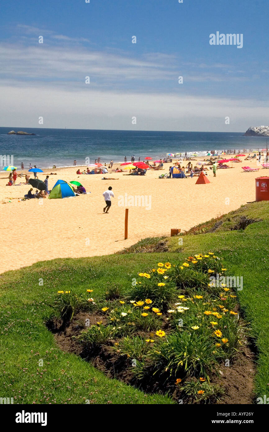 Beach scene at Renaca on the Pacific Ocean in Chile Stock Photo - Alamy