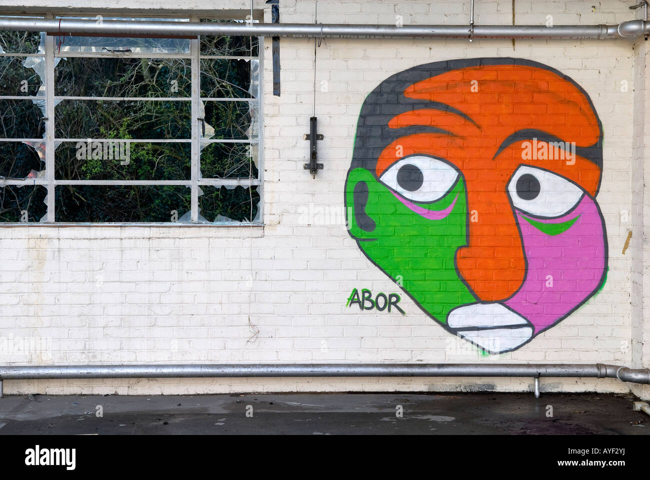 colourful graffiti head on derelict building wall Stock Photo - Alamy