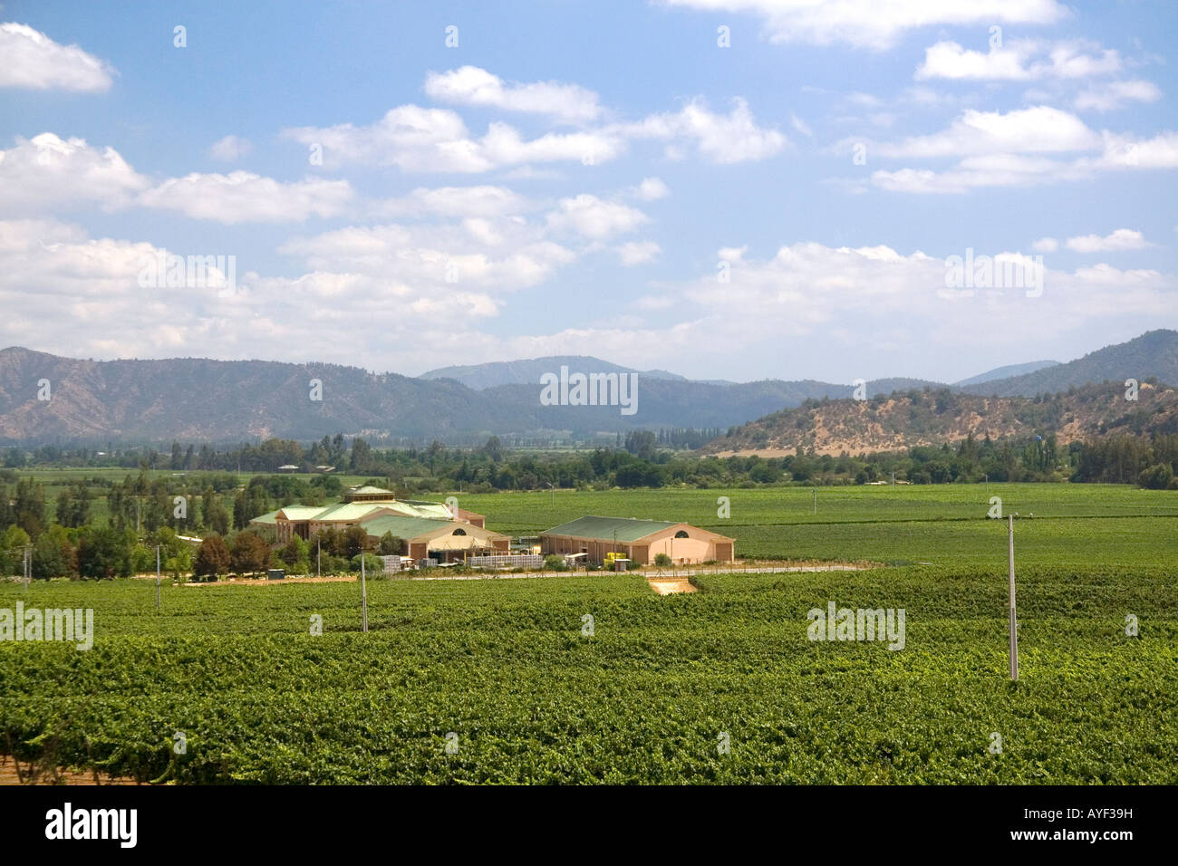 Veramonte vineyard near Santiago Chile Stock Photo - Alamy